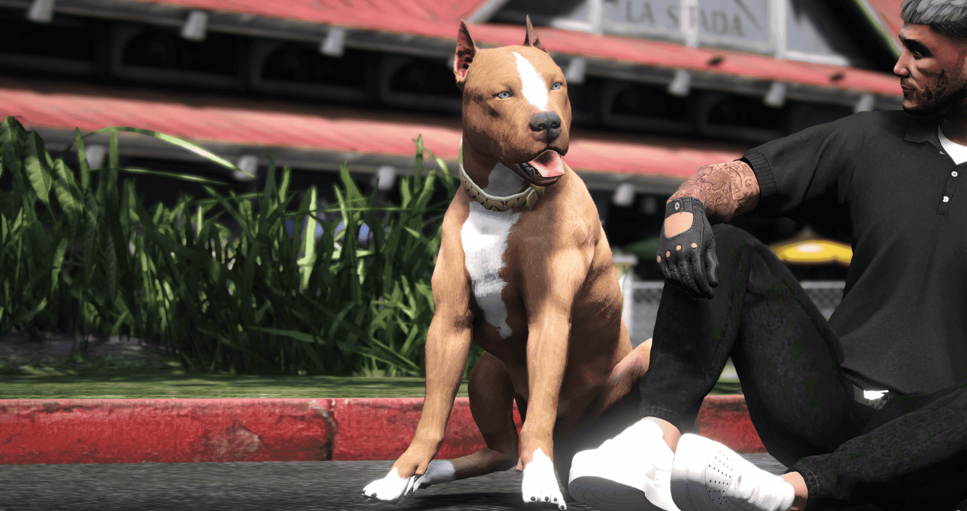 NORDRP - Lietuvos Roleplay Serveris | nordrp.lt